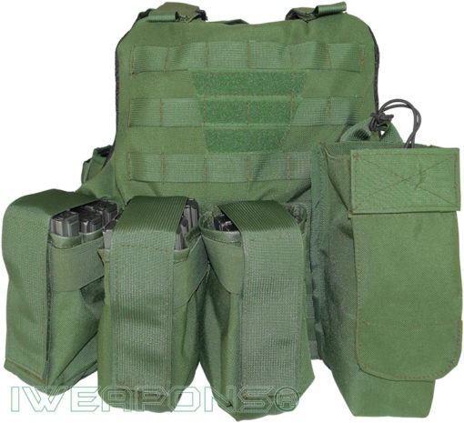 IWEAPONS® MOLLE IDF Green Rifle Mag Pouch – IWEAPONS®