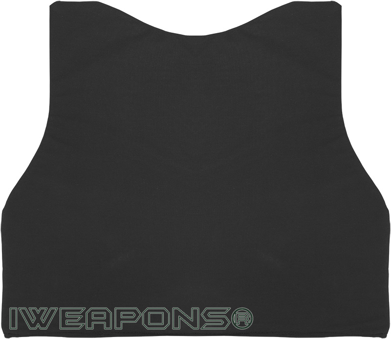 IWEAPONS® Military Back Rear Aramid Ballistic Panel – Size Small ...
